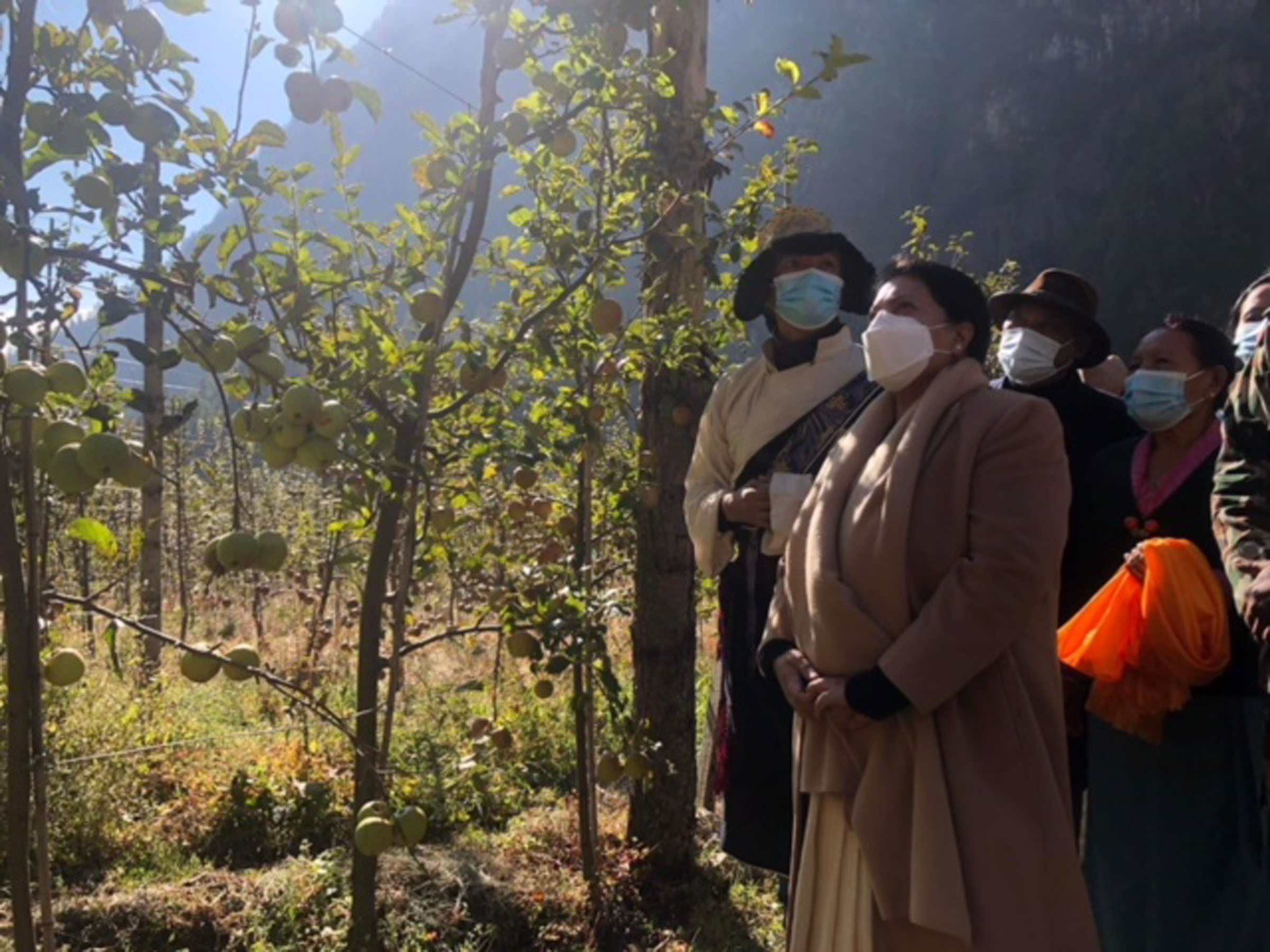 President Bhandari arrive in Manang today, inspect apple farm - Everest ...