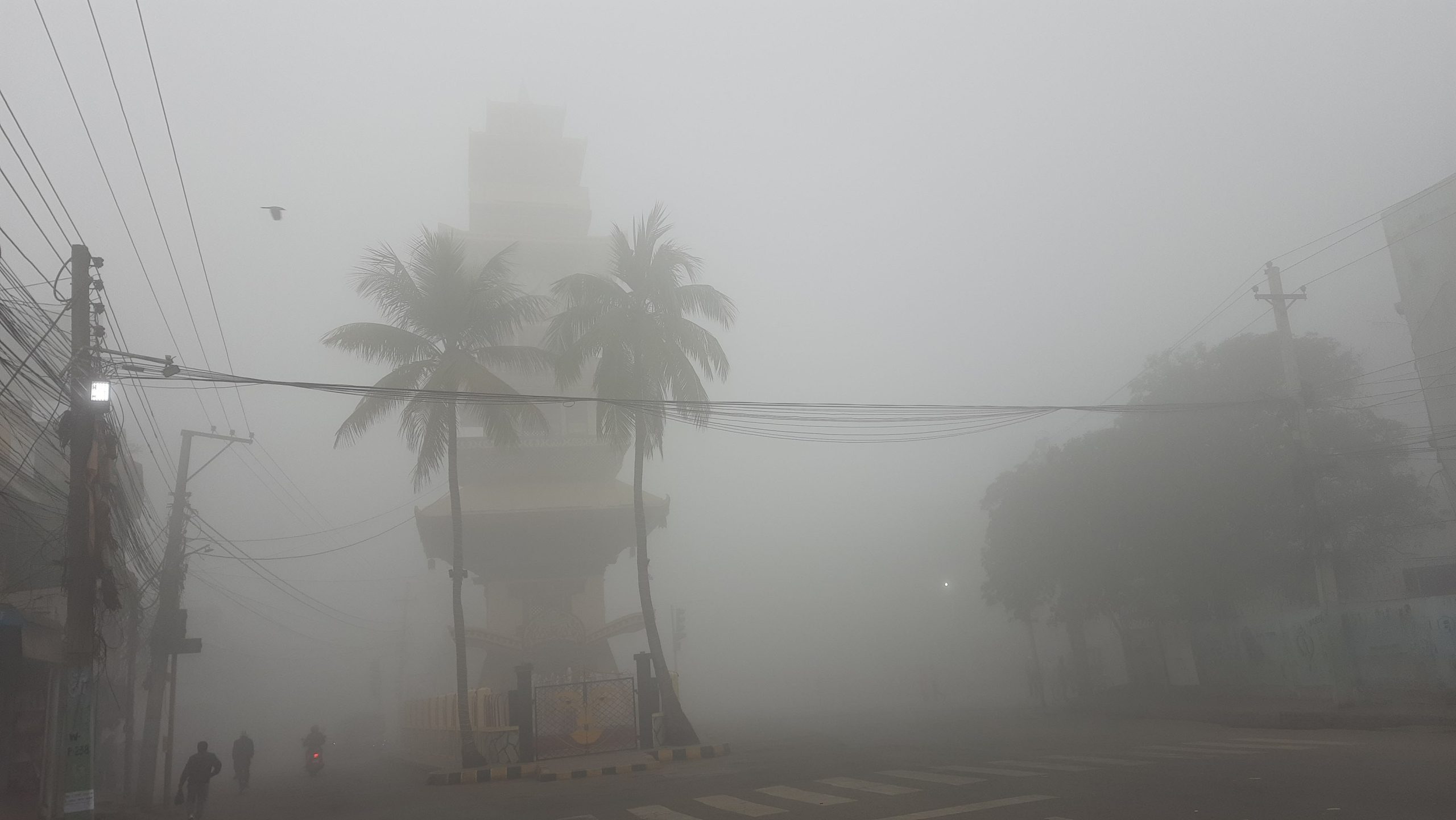 Schools shut down in Saptari citing cold wave - Everest Times - Online ...